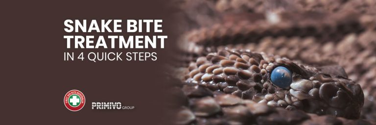 Snake bite treatment in 4 quick steps - The First Aid Kits Australia ...
