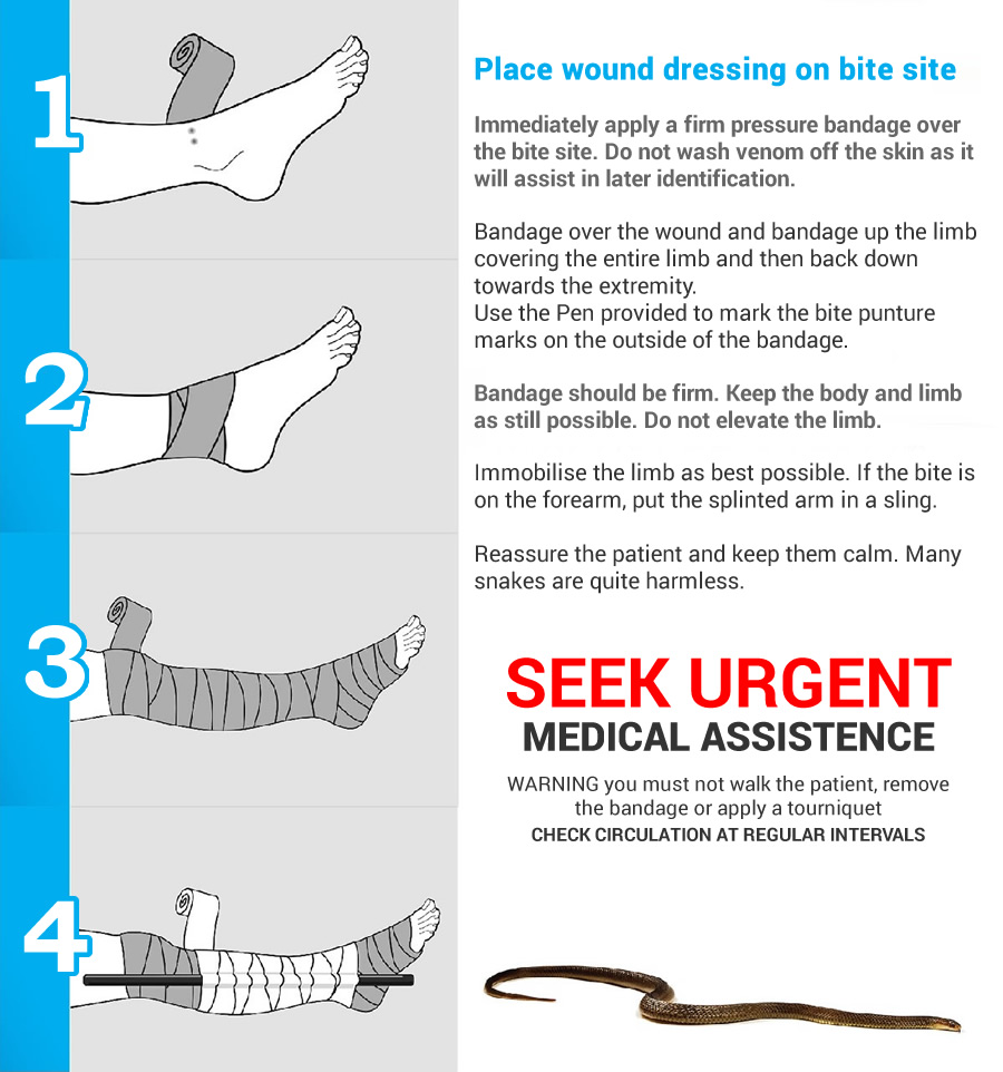 Snake Bite Treatment In 4 Quick Steps The First Aid Kits Australia Snake Bite Treatment In 4 Quick Steps The First Aid Kits Australia